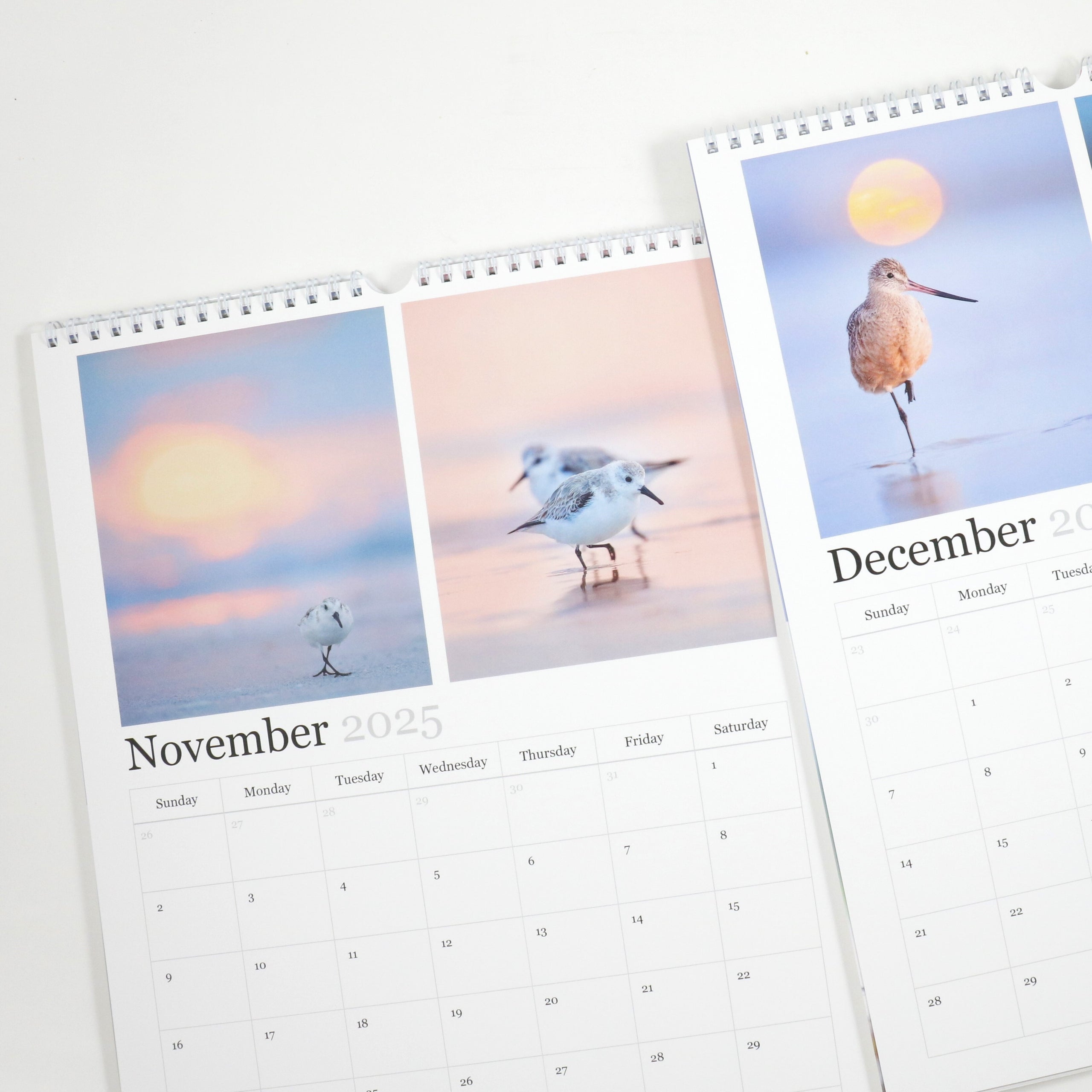 Bird Photography Calendar 2025 by Cindy Barbanera-Wedel | Cove.